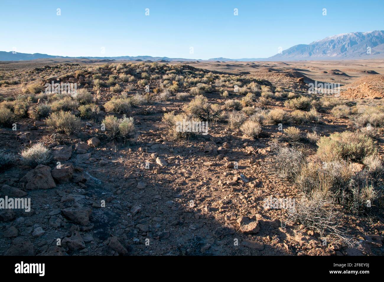 The Volcanic Tablelands in Inyo and Mono Counties are a haven for off ...