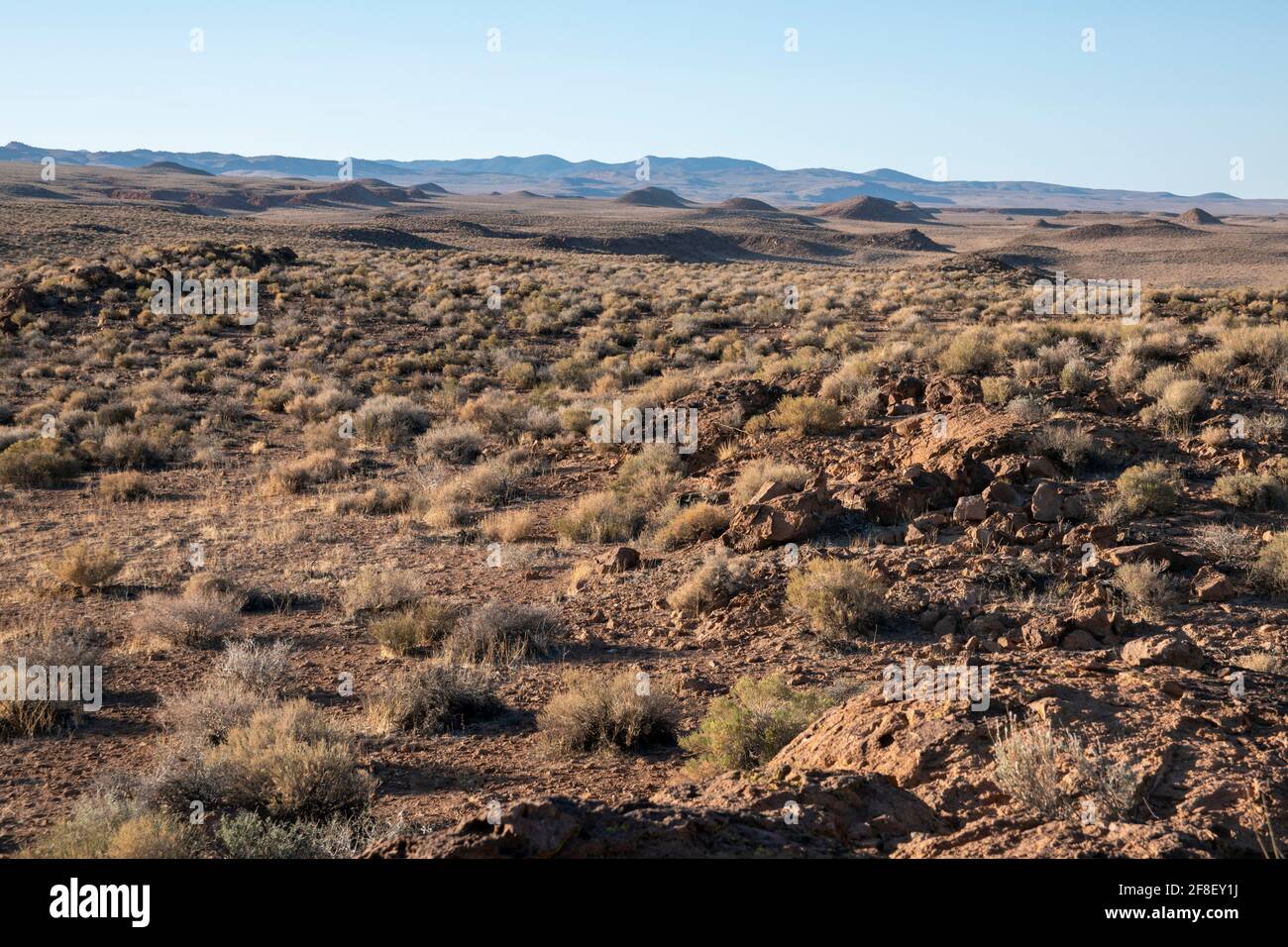 The Volcanic Tablelands in Inyo and Mono Counties are a haven for off ...