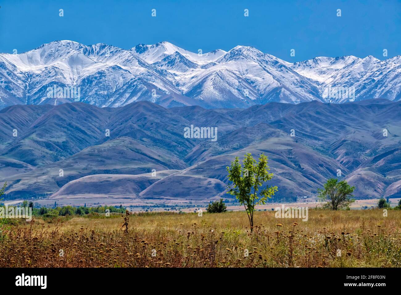 Issyk kul region hi-res stock photography and images - Alamy