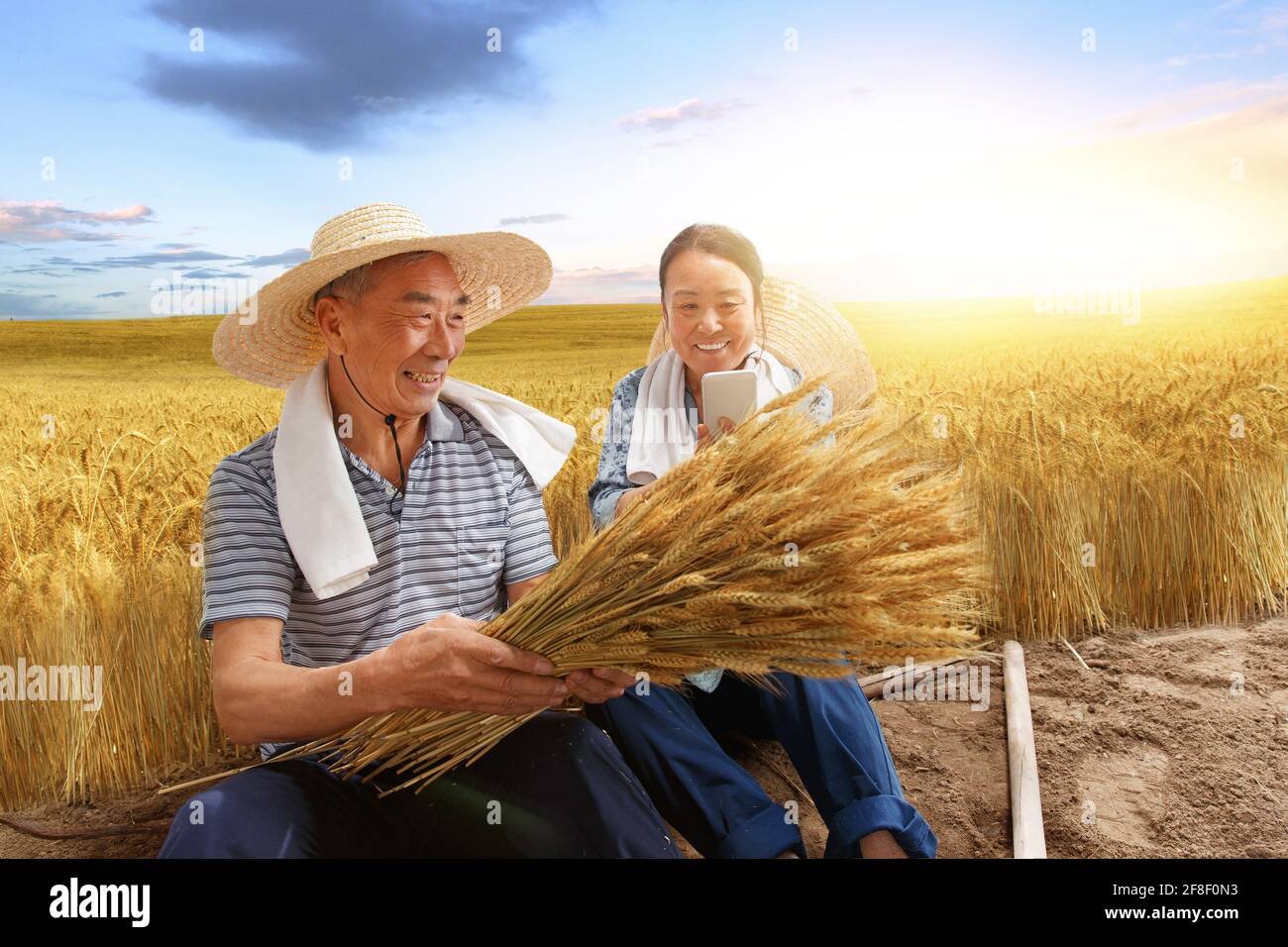 Peasant couple sat in the wheat field with a cell phone video Stock ...