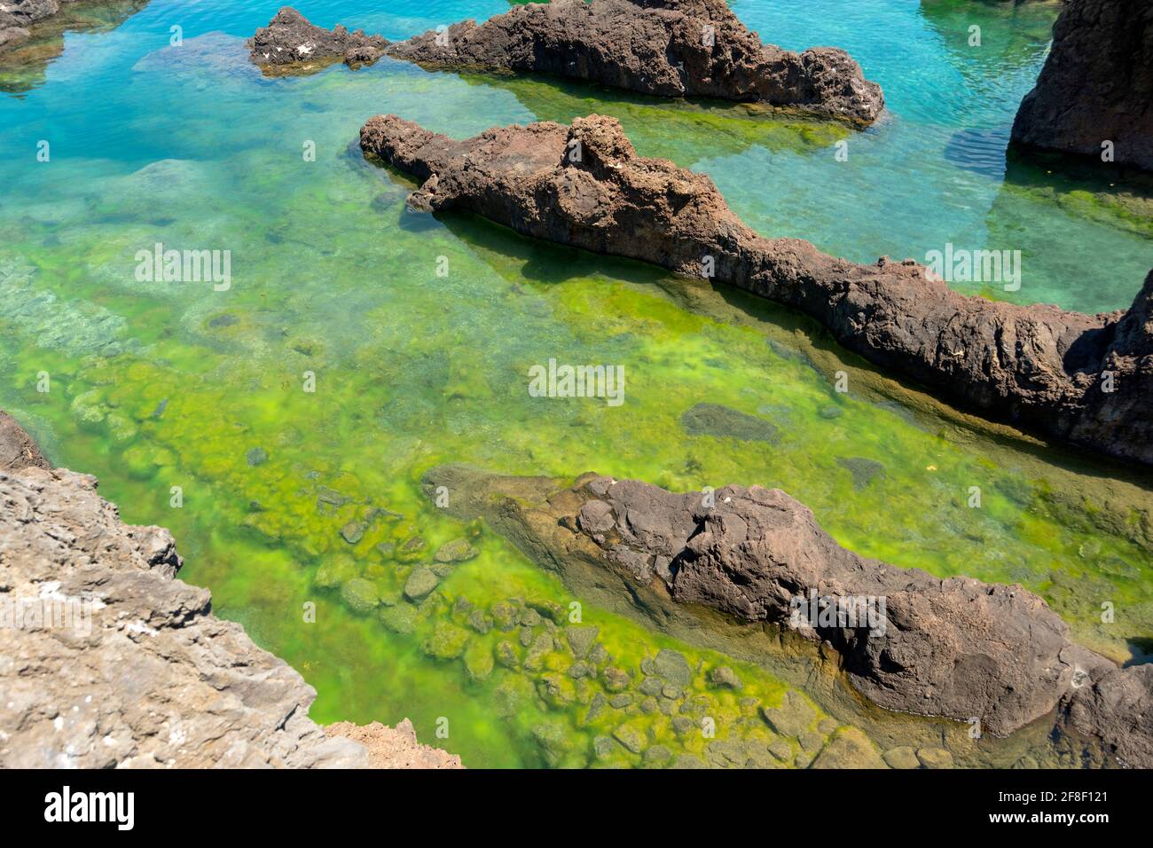Seaweed in shallow water hi-res stock photography and images - Alamy