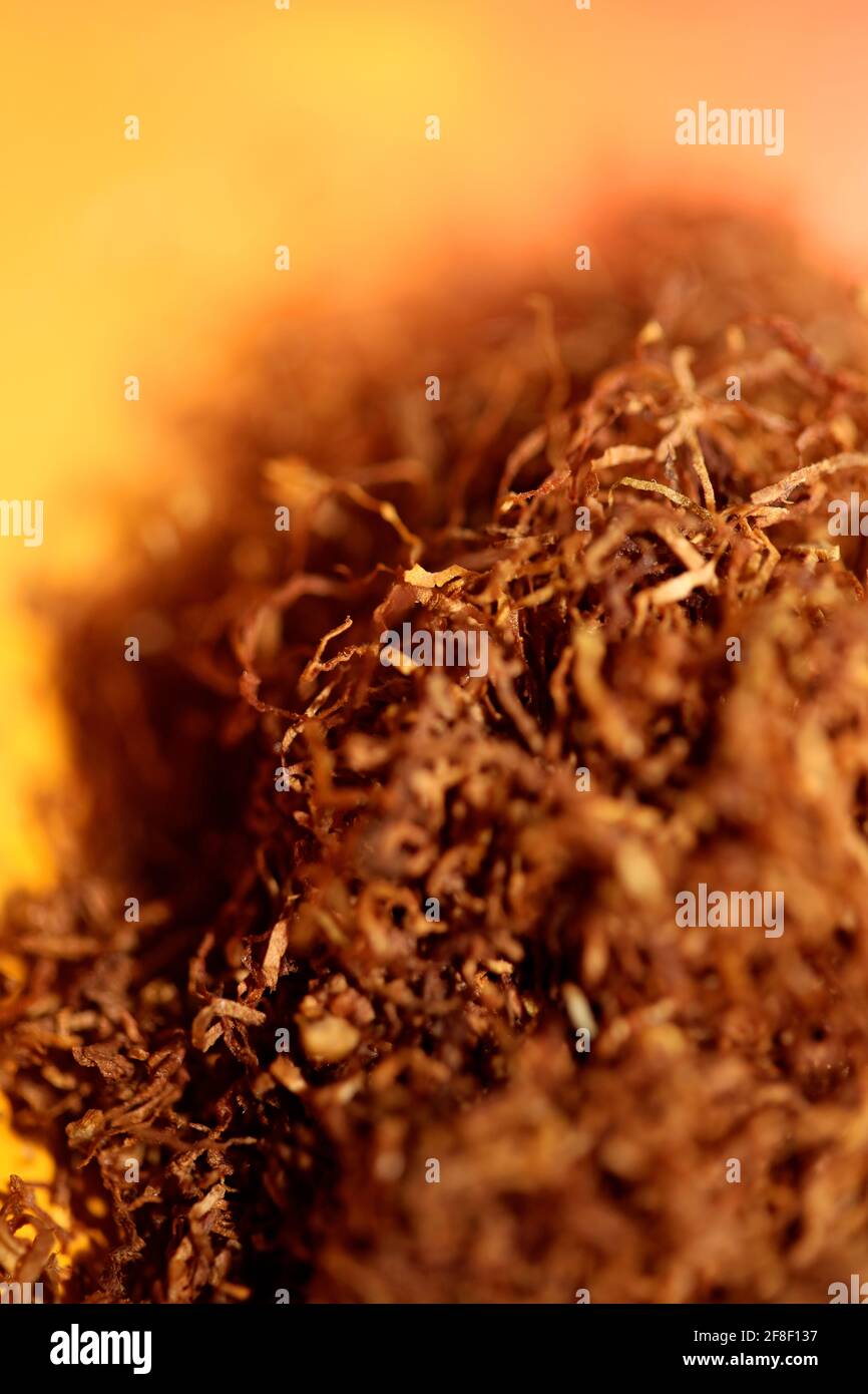 Rolling smoking tobacco leaves macro modern background stock ...