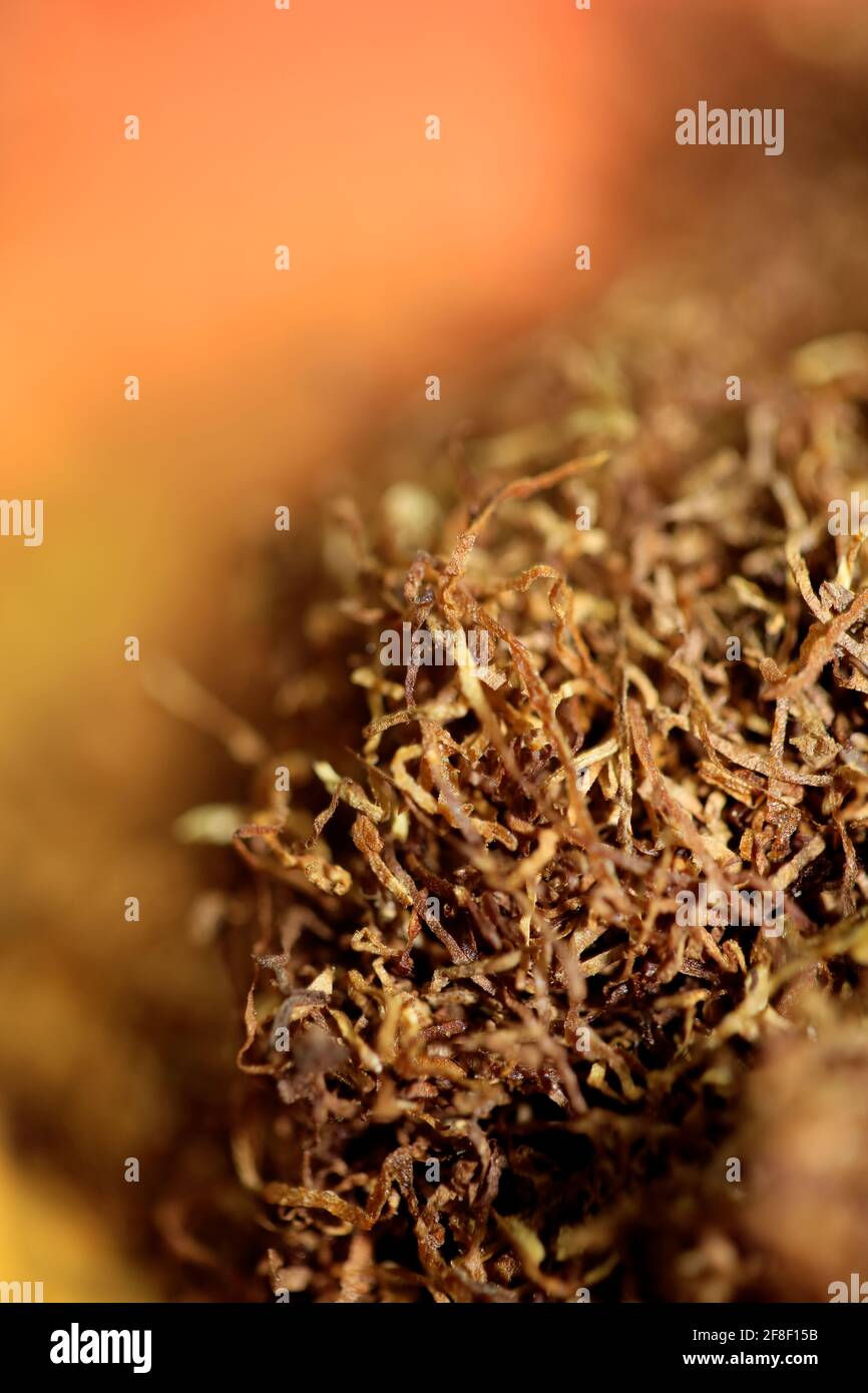 Rolling smoking tobacco leaves macro modern background stock ...