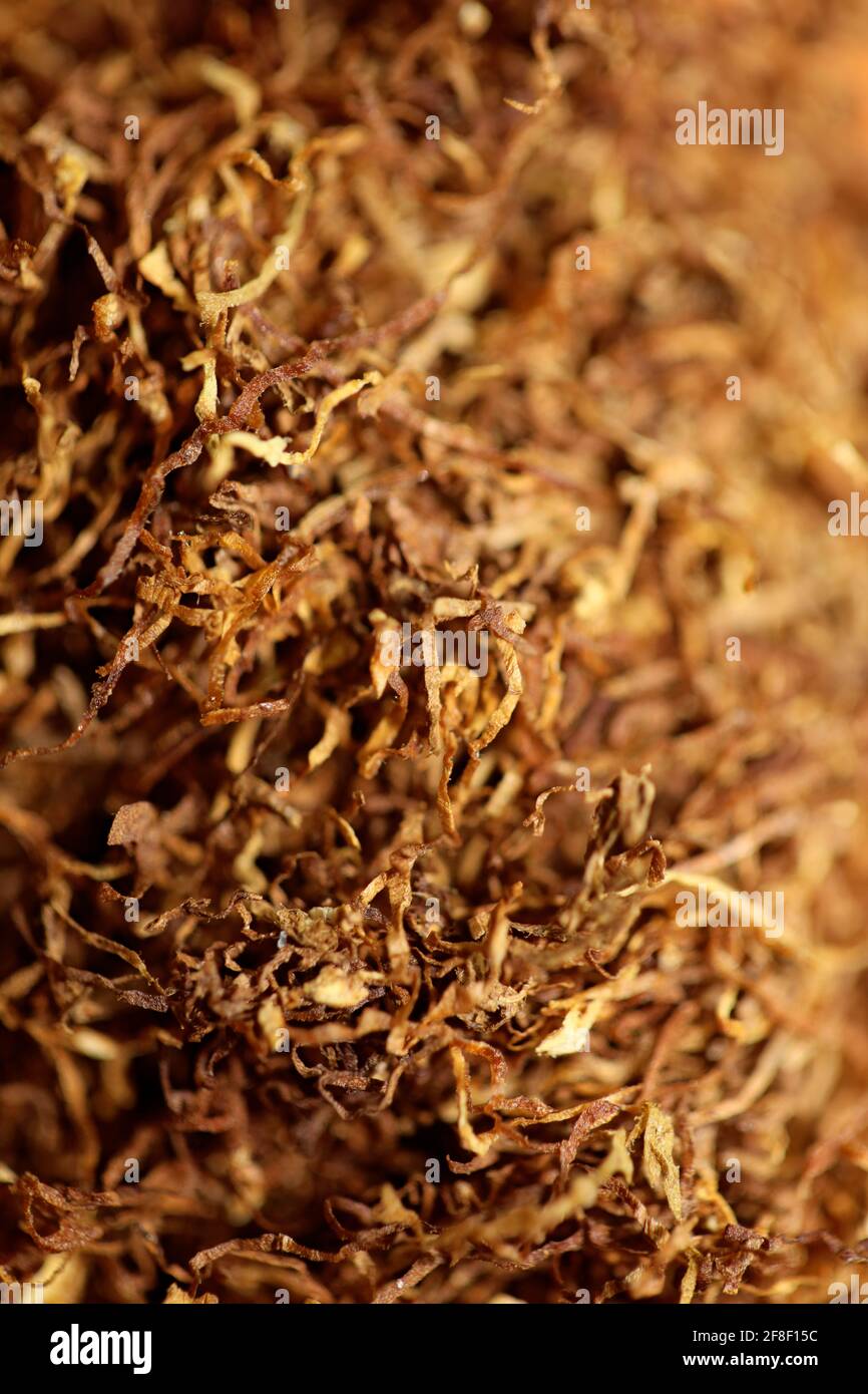 Rolling smoking tobacco leaves macro modern background stock ...