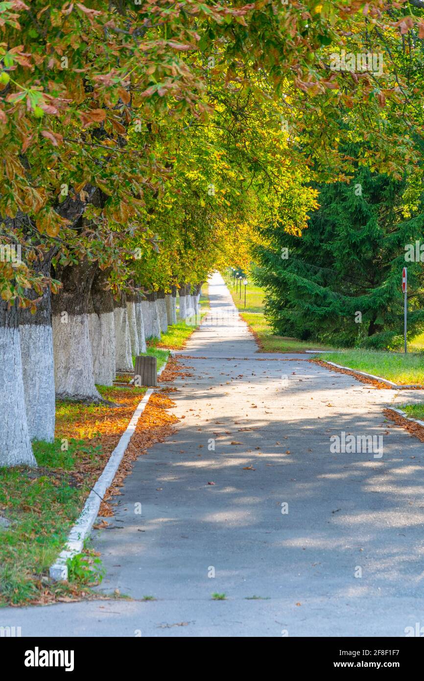 Main road passing through Chernobyl village in the Ukraine Stock Photo ...