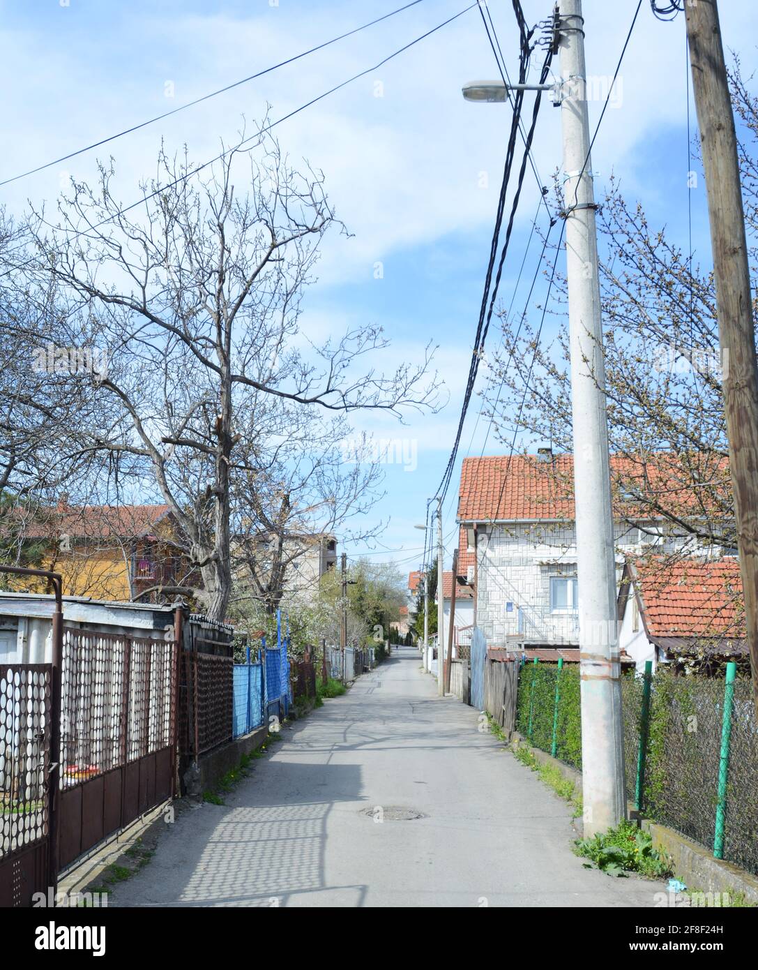 a small street with an asphalt road and with private yards on both ...