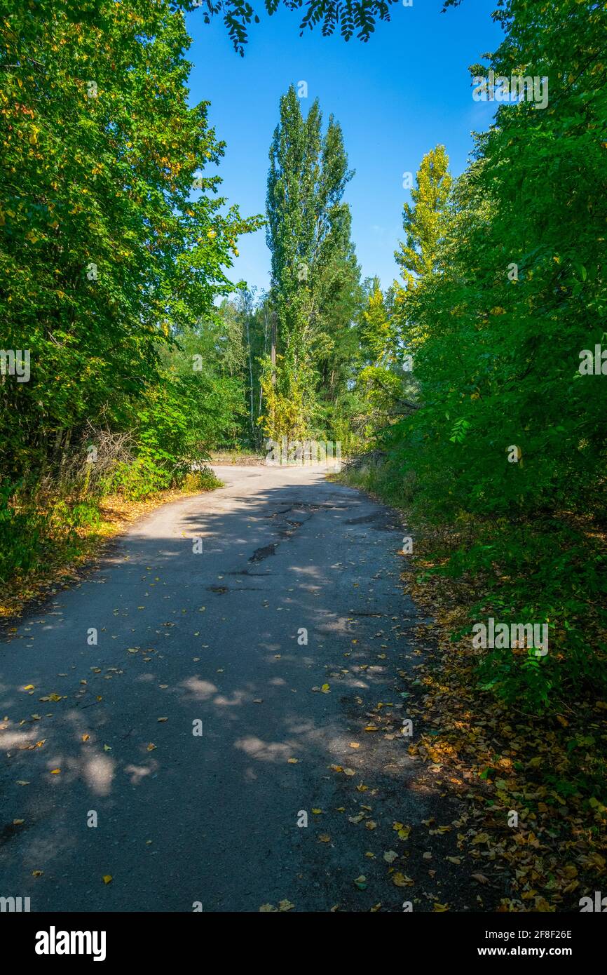 Nature takes over the Ukrainian town Pripyat Stock Photo - Alamy