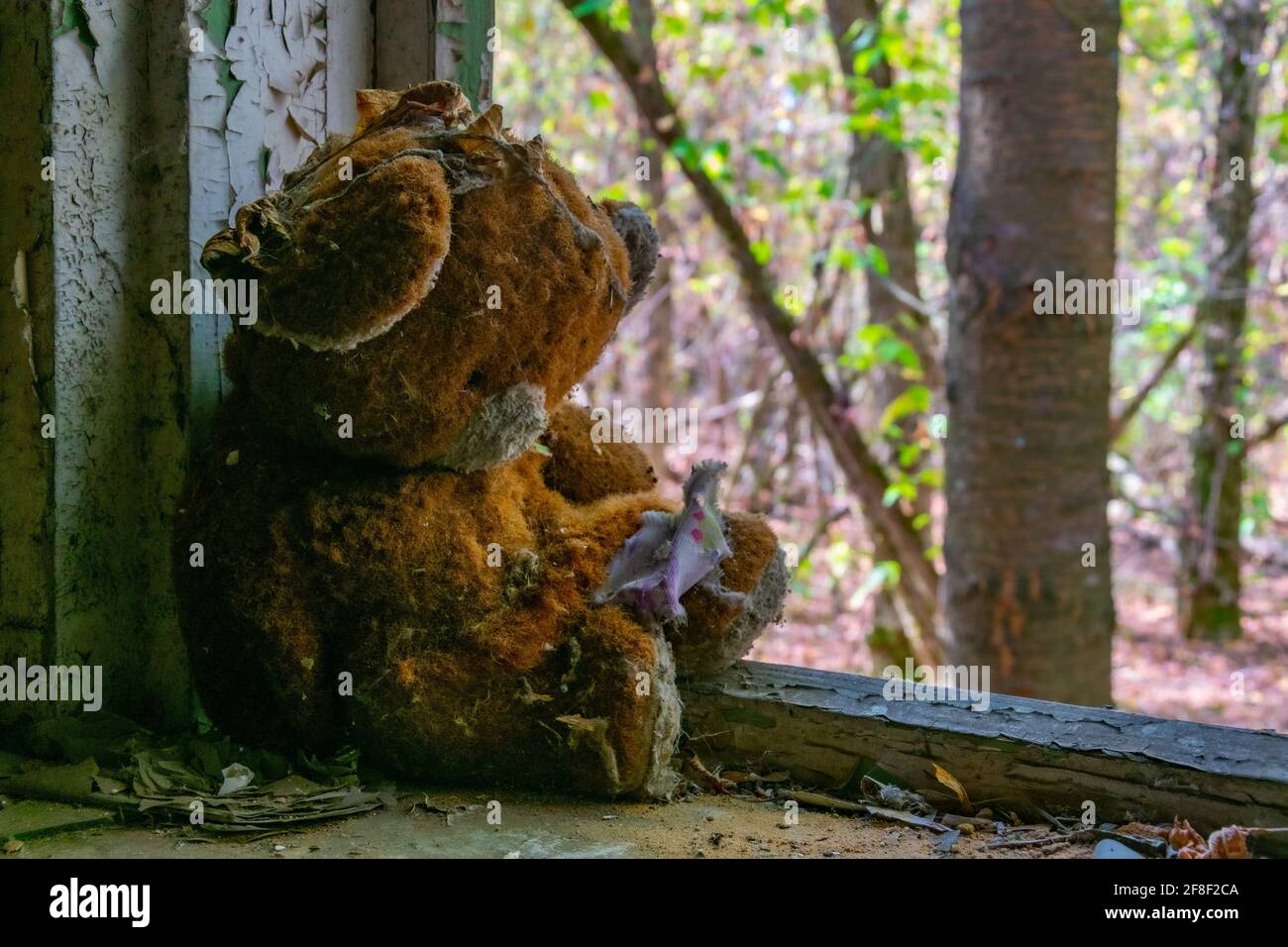 Plush teddy bear toy at a window of a house inside of the Chernobyl ...