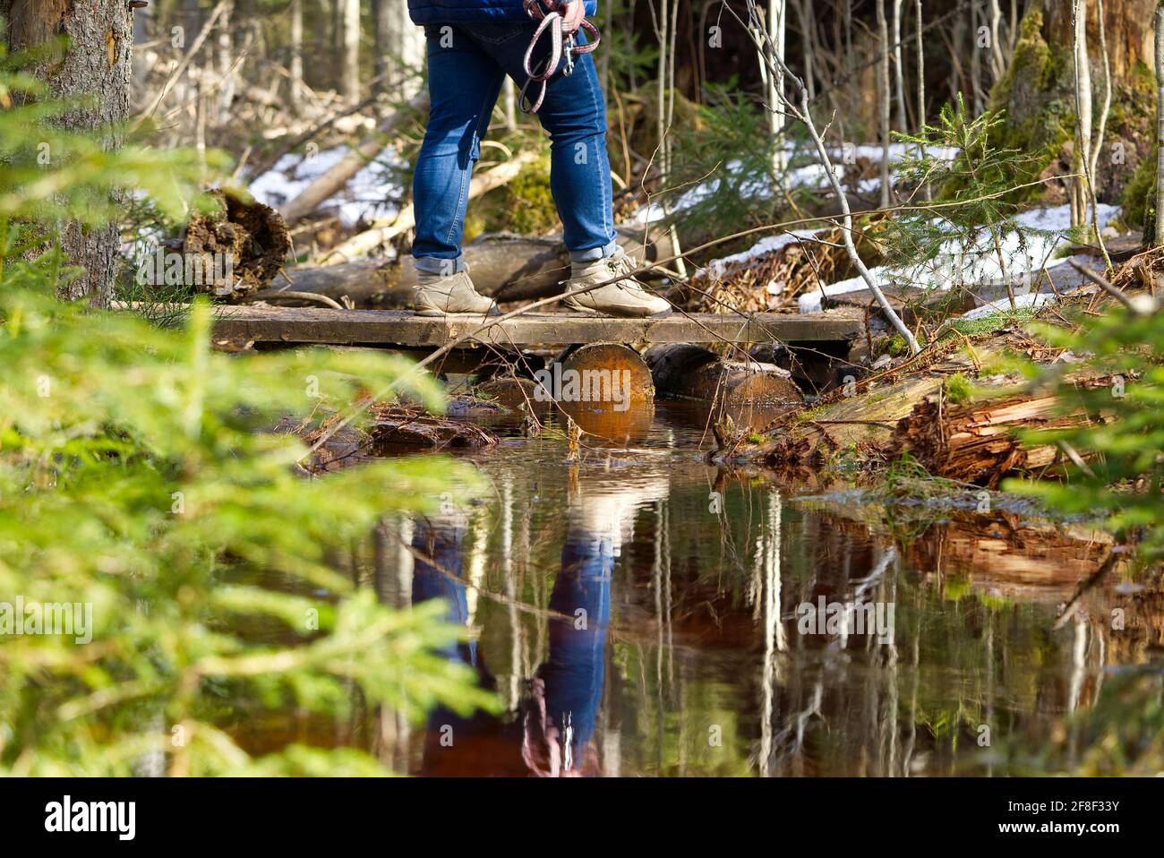 Women walking on spring forest. walking trails in the forest for the ...