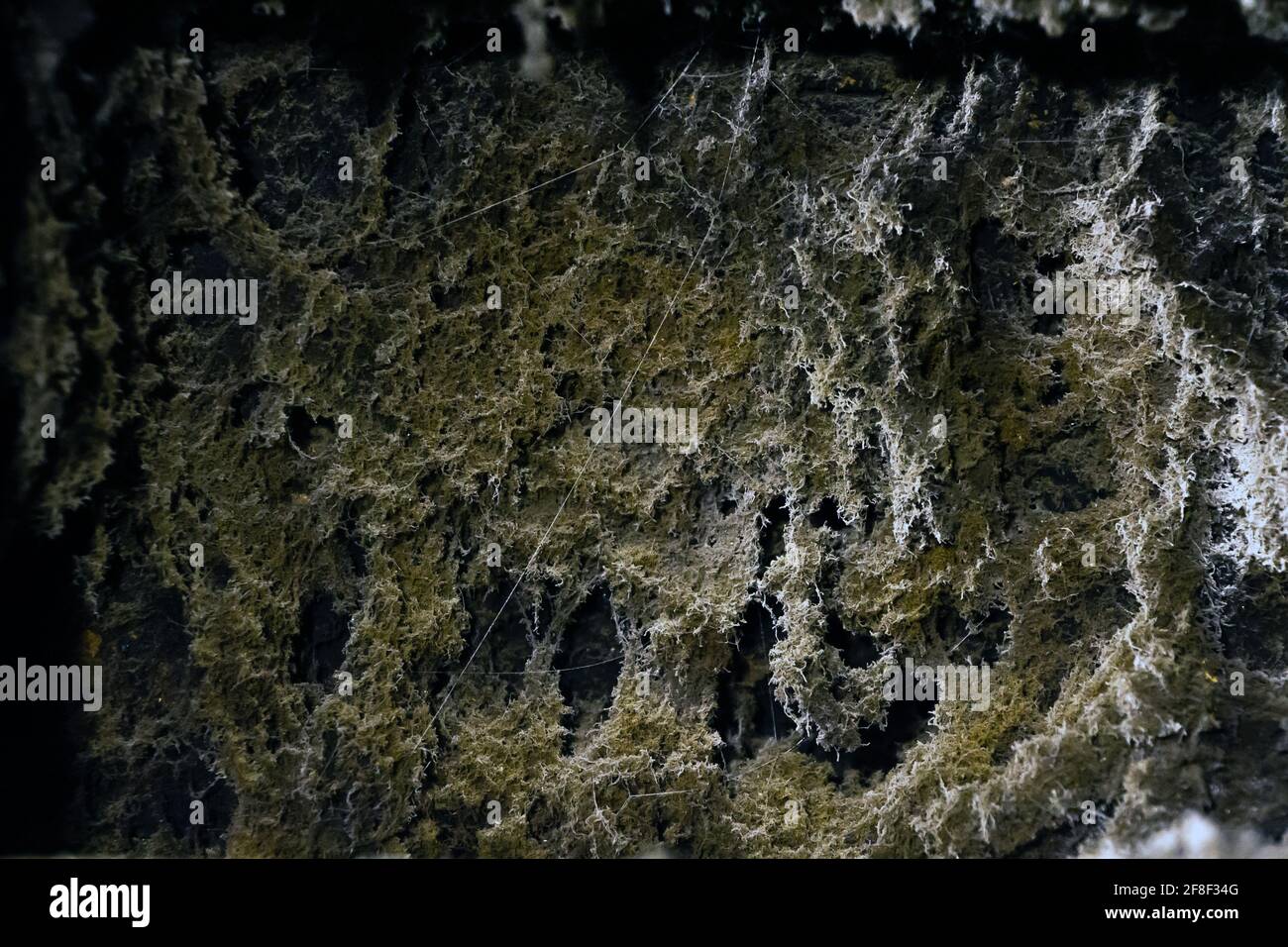 Photo of old dust texture in ventilation shaft Stock Photo - Alamy