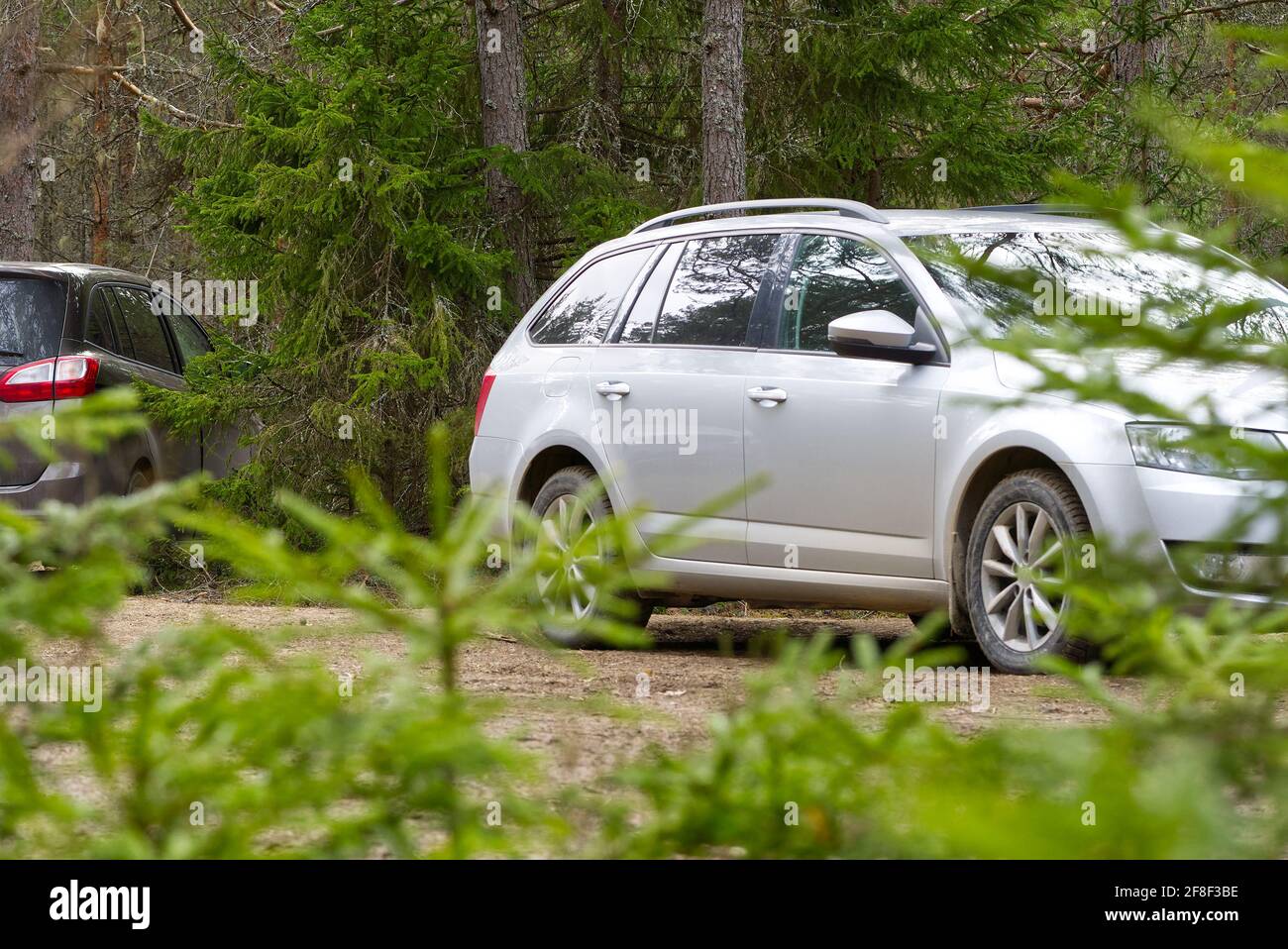 Cars parked in the forest. Improper parking of cars, protection of ...