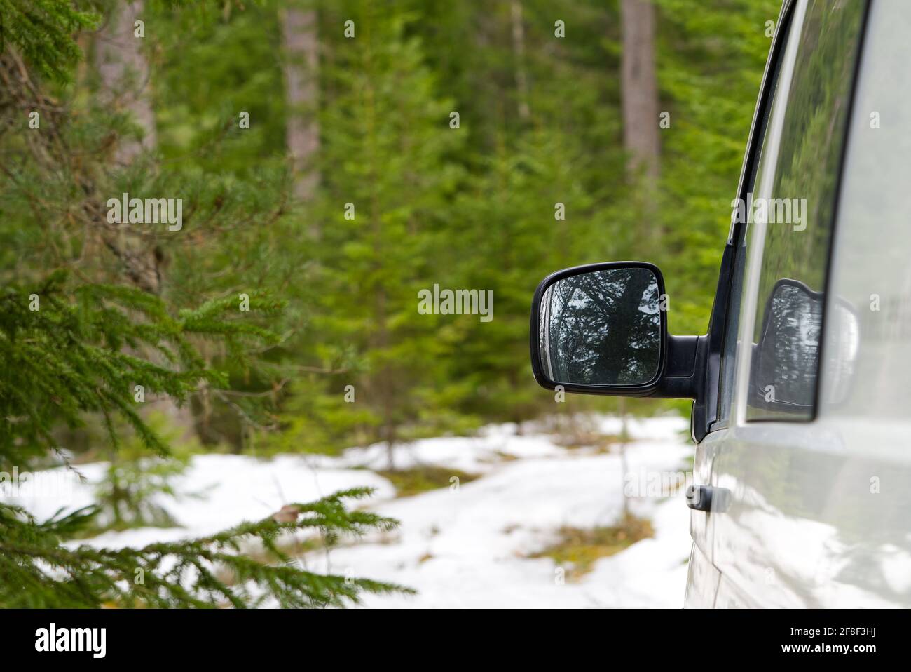 Cars parked in the forest. Improper parking of cars, protection of ...