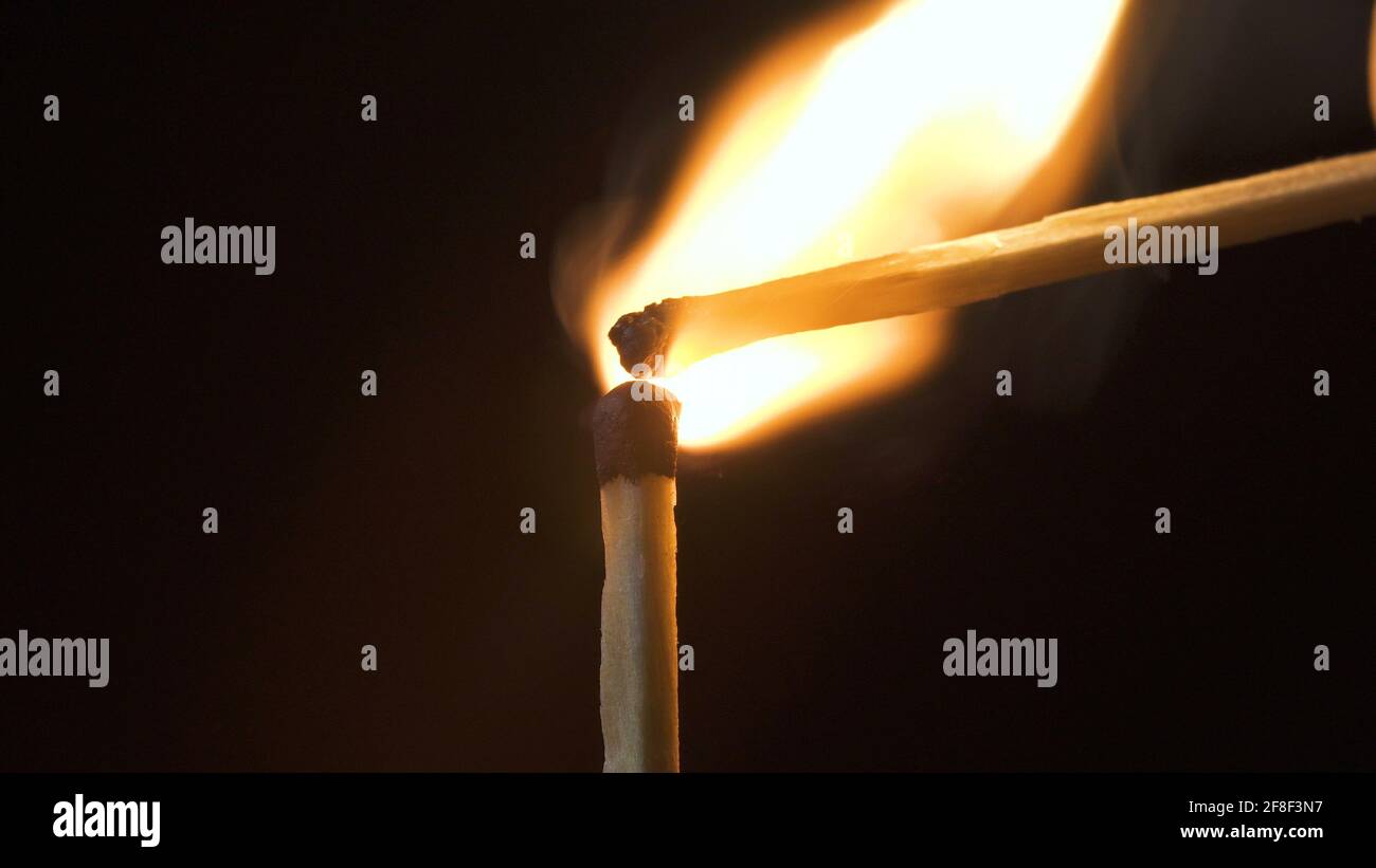 Thin wood stick hi-res stock photography and images - Alamy