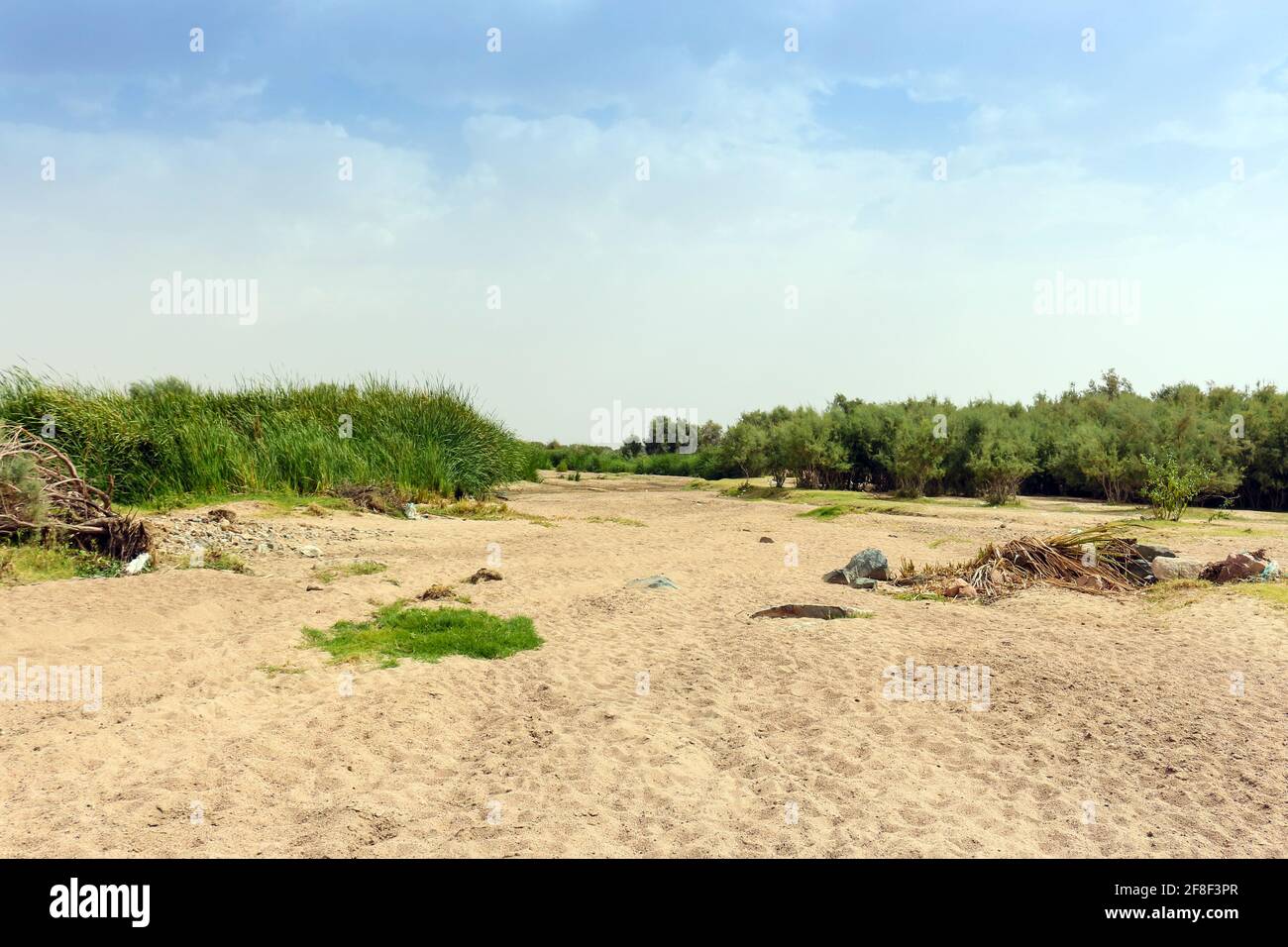 Taif and saudi arabia and farm hi-res stock photography and images - Alamy