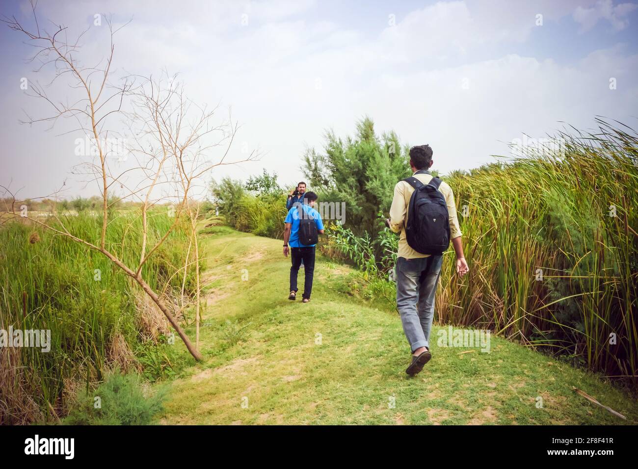 Saudi Arabian farm land Stock Photo - Alamy