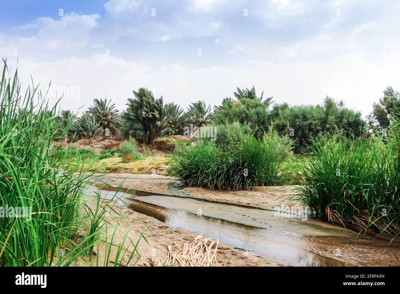 Land For Sale Saudi Arabia at Johnny Moe blog