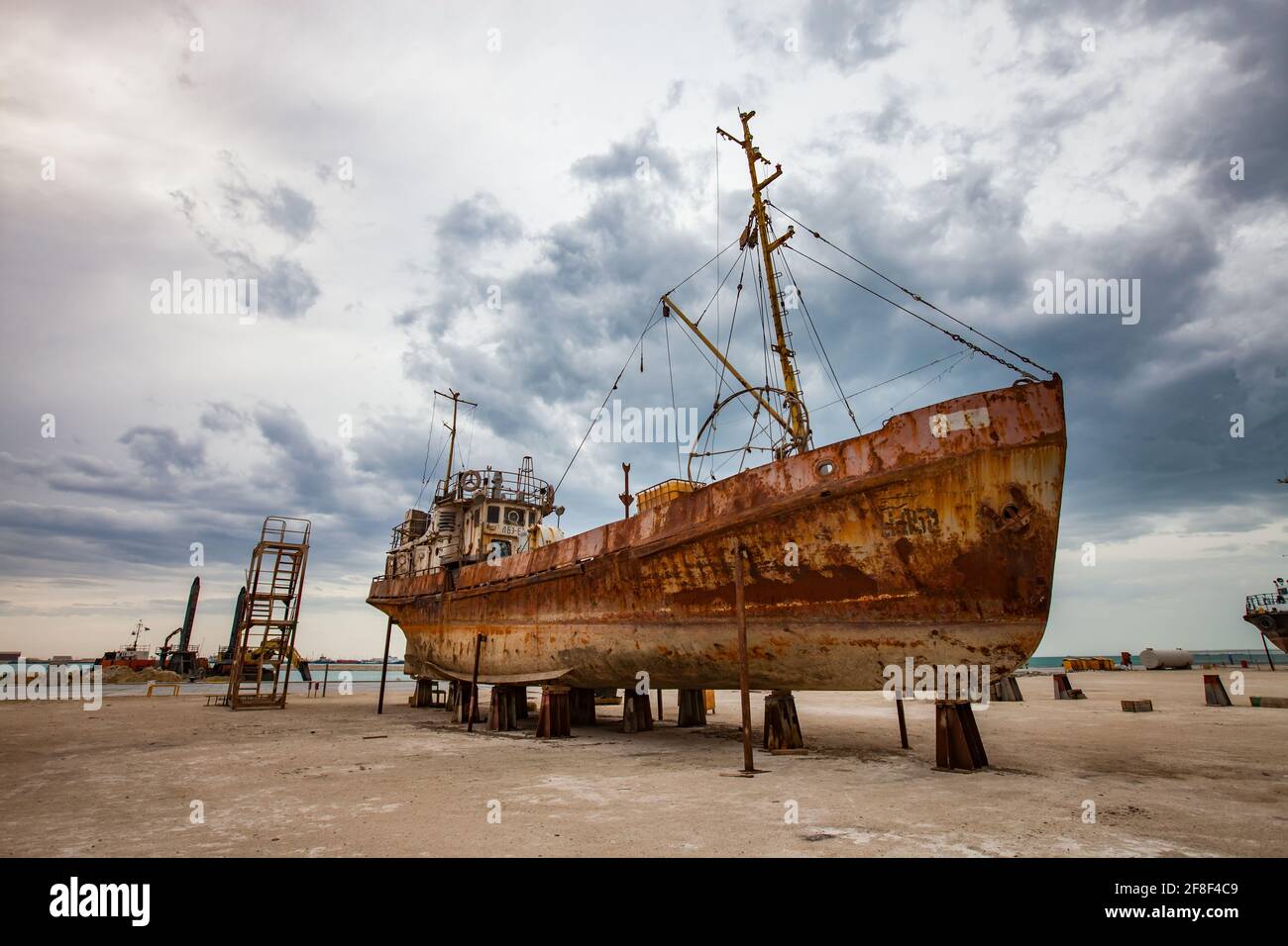 Shellback hi-res stock photography and images - Alamy