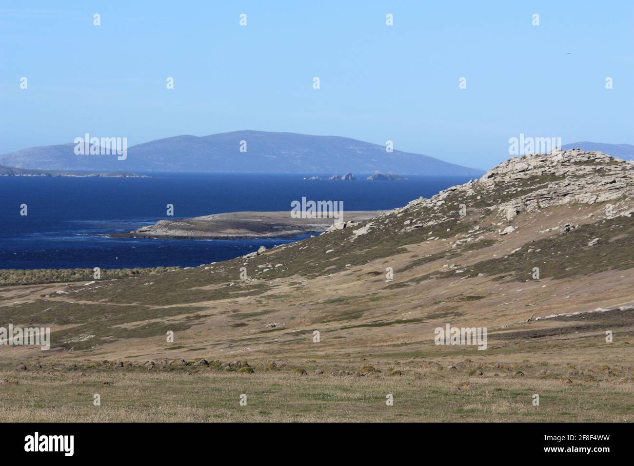 Coastal landscape of the Falkland Islands, Malvinas Stock Photo - Alamy