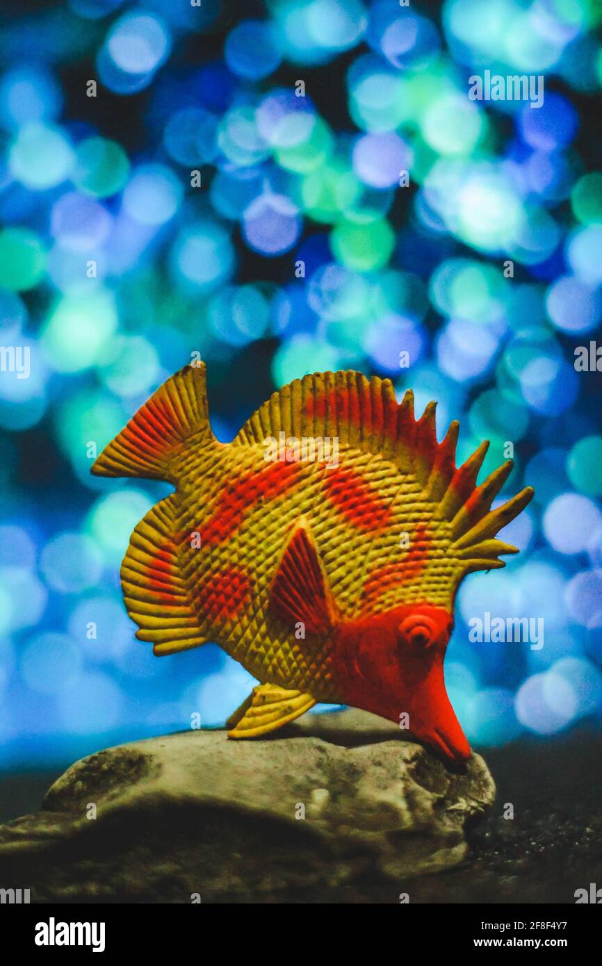 Toy Fish Display Showcase with bokeh Stock Photo - Alamy