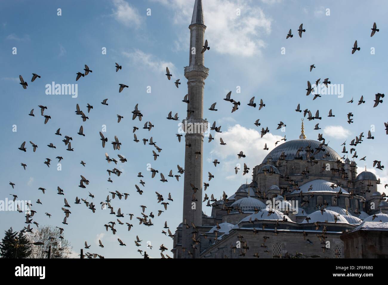 Pigeon flying around the mosque minarets Stock Photo - Alamy