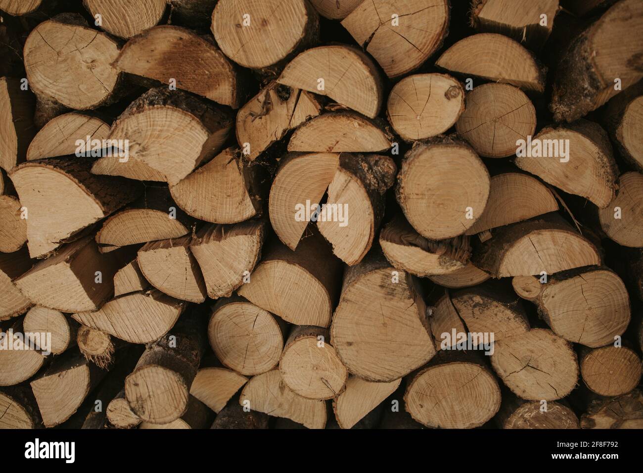 Closeup shot of a pile of split logs gathered together in a big pile ...
