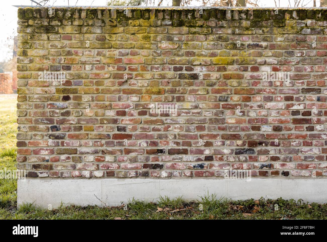 A red brick wall with yellow lichen and concrete base with meadow in ...