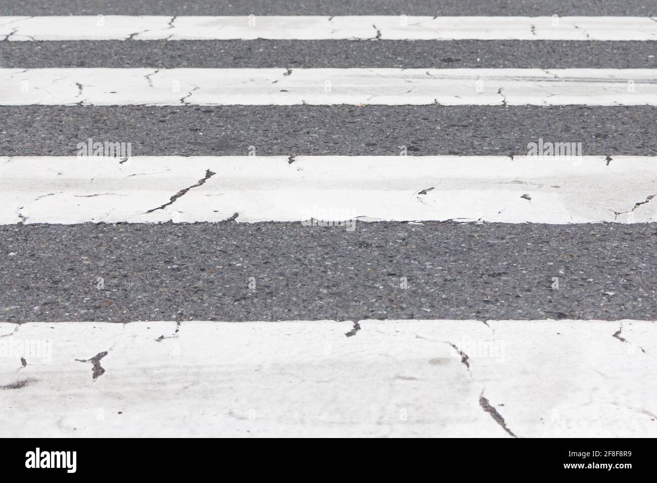 Grey and white pedestrian crossing stripes on city downtown road. Empty ...