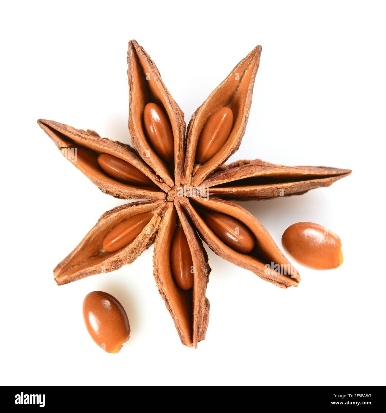 Star anise. Single star anise fruit with two seeds. Macro close-up ...