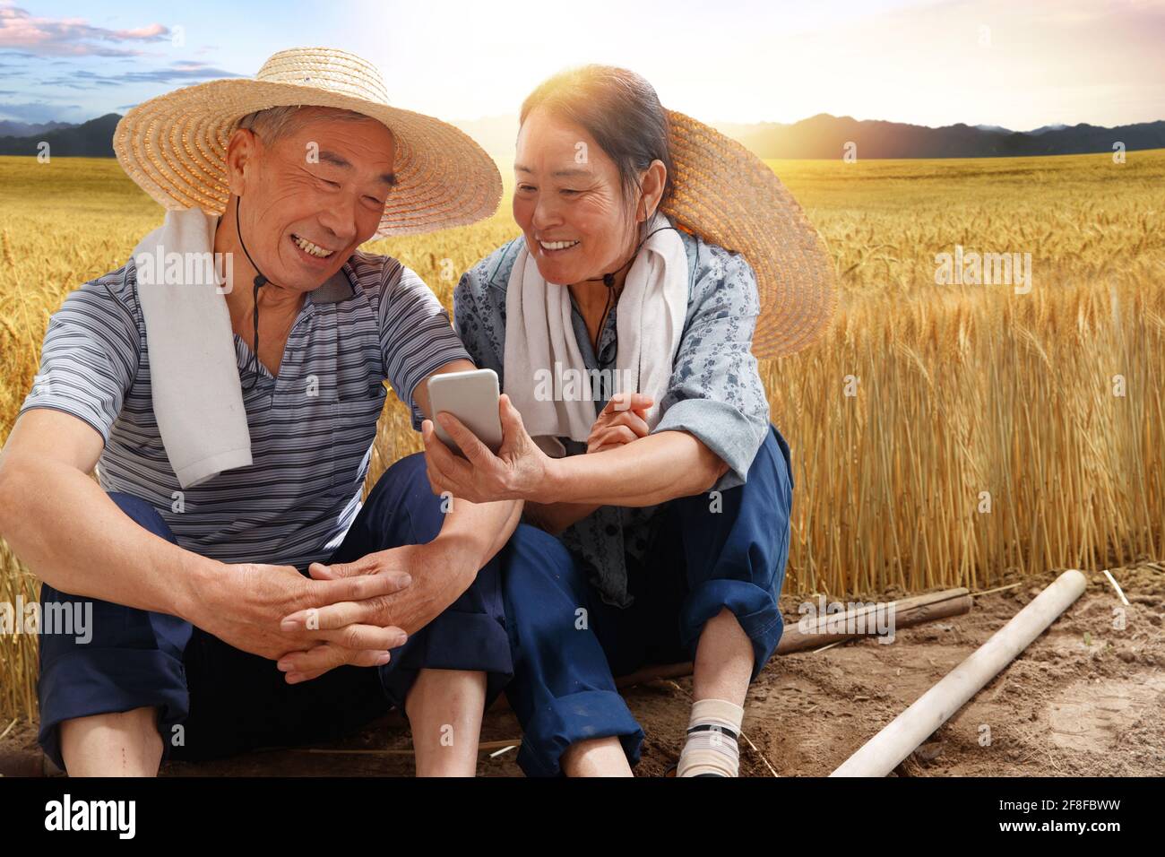 Peasant couple sat in the wheat field with a cell phone video Stock ...