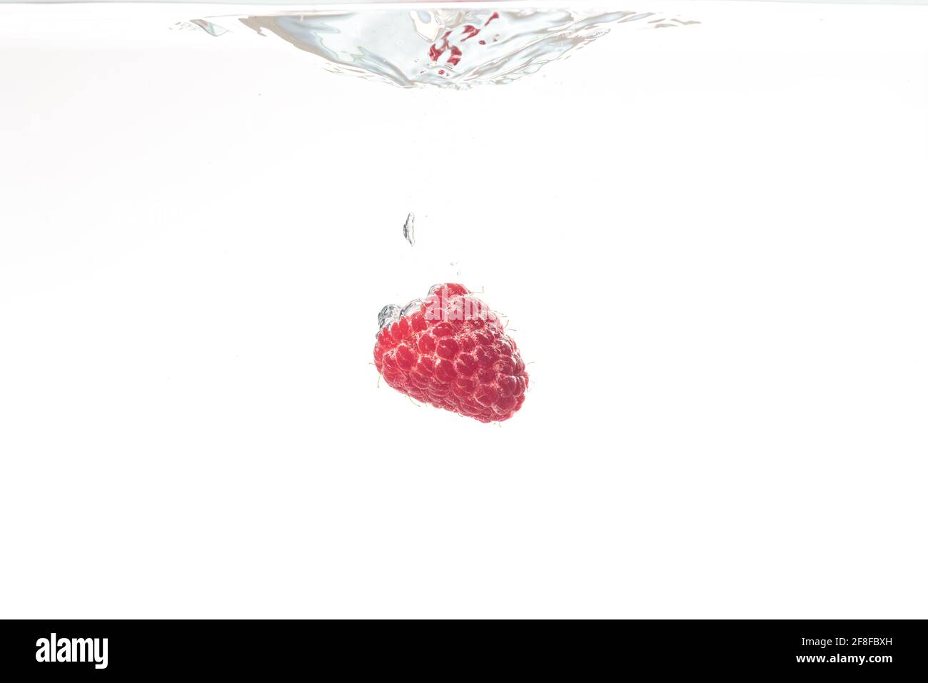 One raspberry splashing in water on white Stock Photo - Alamy