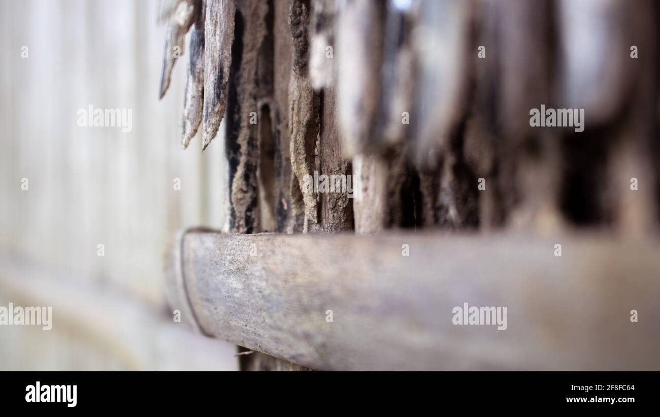 The background of the old jute stick wall destroyed by the Termites ...