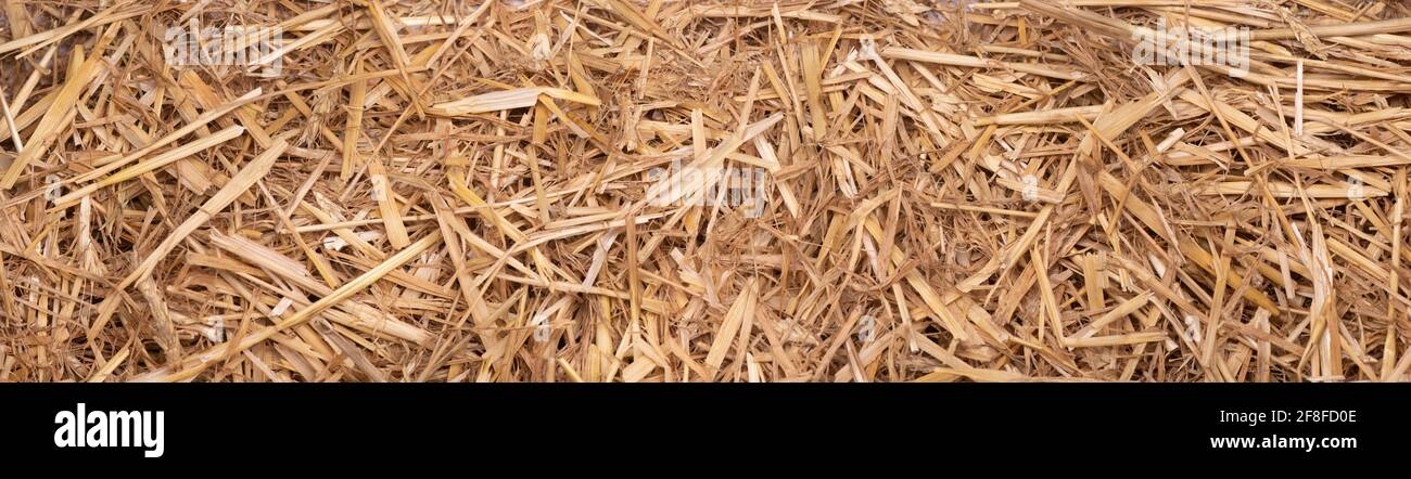 a bunch of straw as border, panorama or background Stock Photo - Alamy