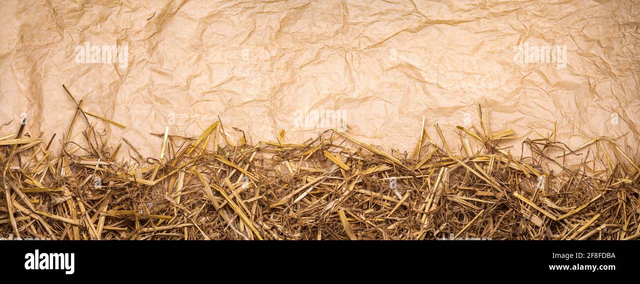a bunch of straw as panorama, border or banner on a structure paper ...