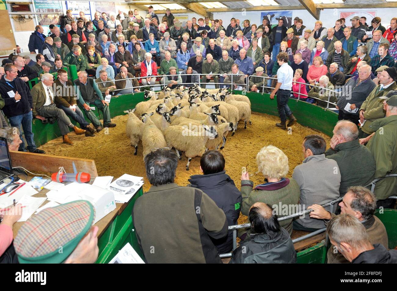 Hawes livestock auction market wensleydale hi-res stock photography and ...