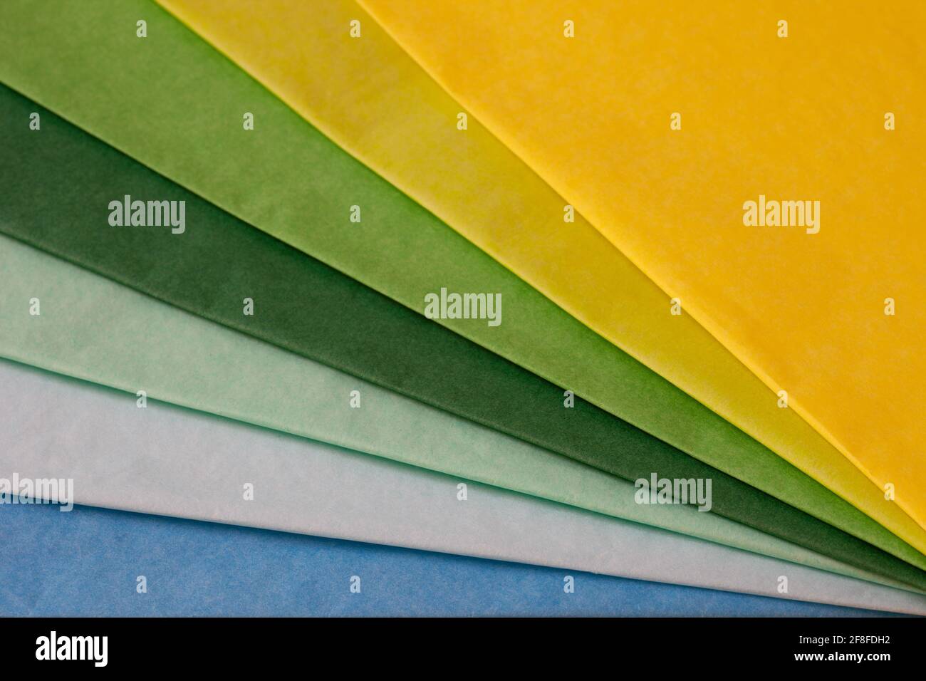Tissue pattern hi-res stock photography and images - Alamy