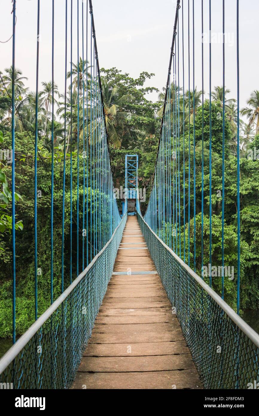 Rain rainforest bridge wood hi-res stock photography and images - Alamy