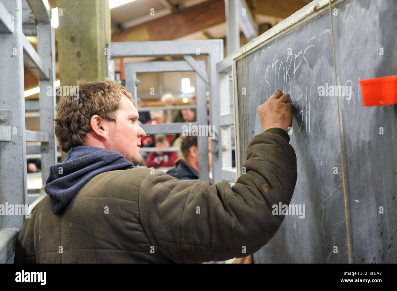 Hawes livestock auction market wensleydale hi-res stock photography and ...