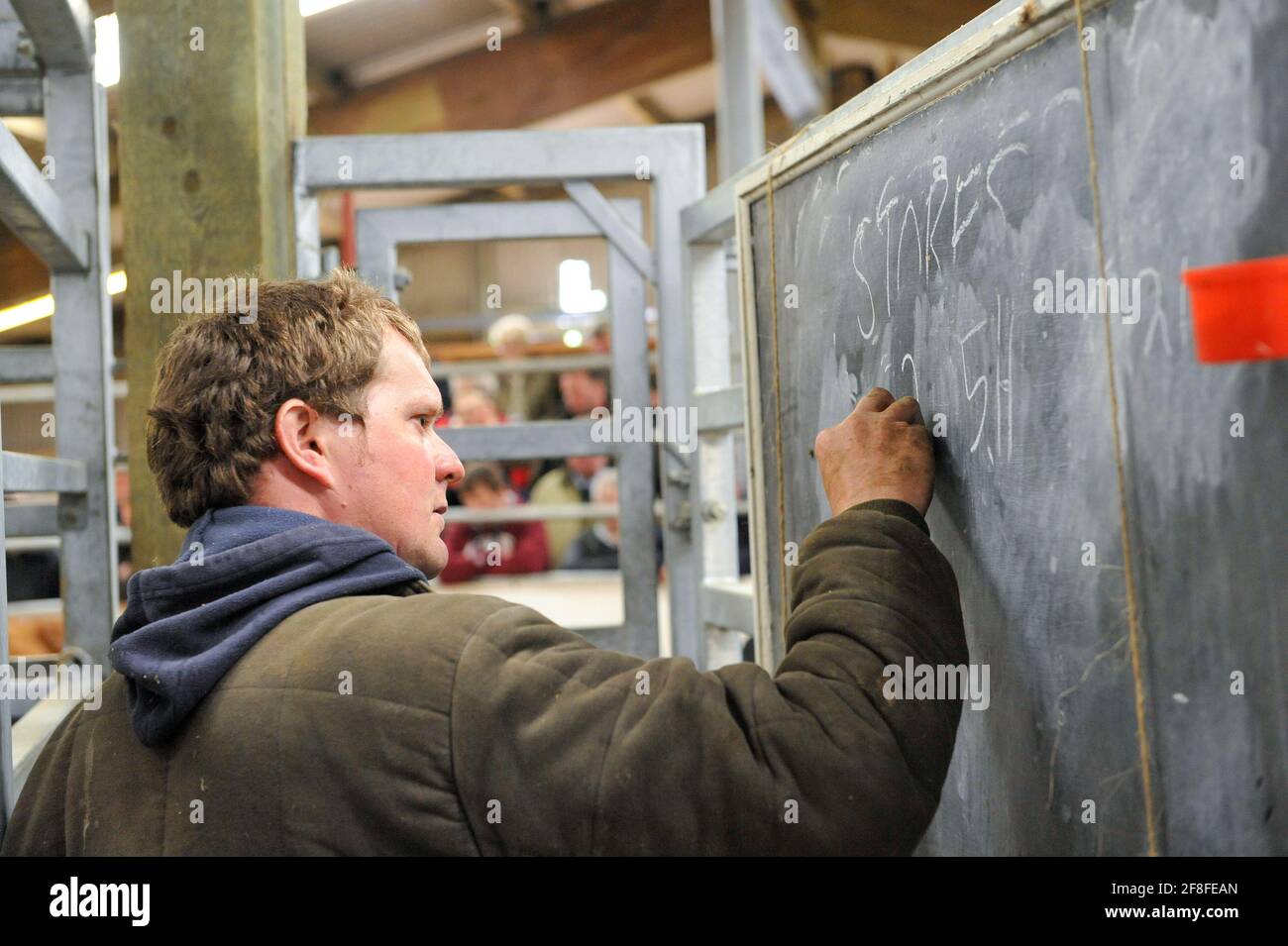 Hawes livestock auction market wensleydale hi-res stock photography and ...