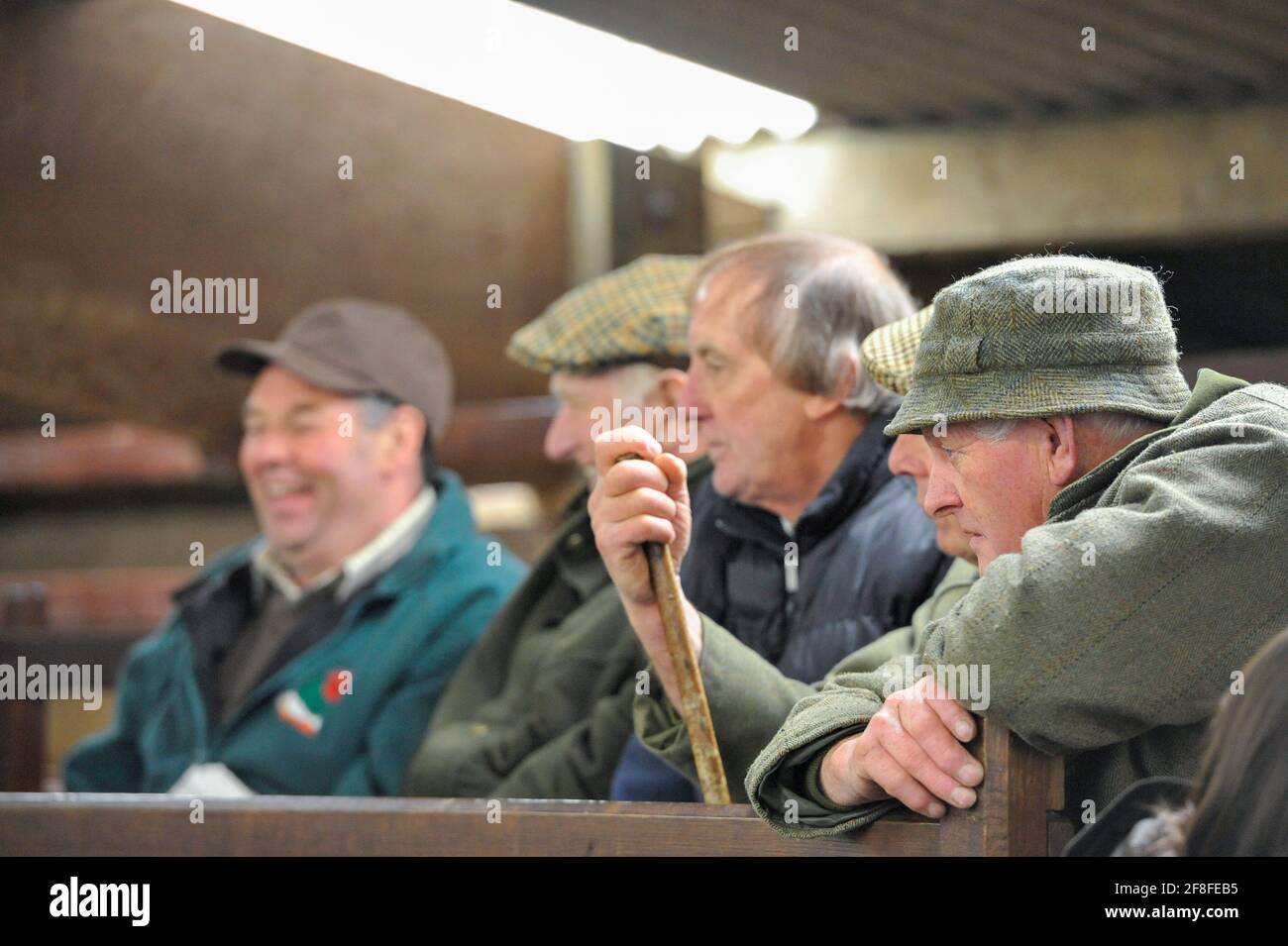 Hawes livestock auction market wensleydale hi-res stock photography and ...