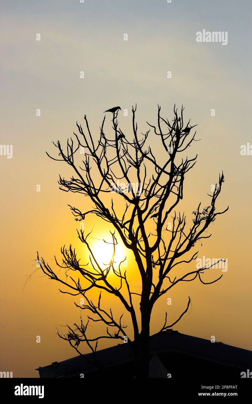 Kottakkunnu hi-res stock photography and images - Alamy