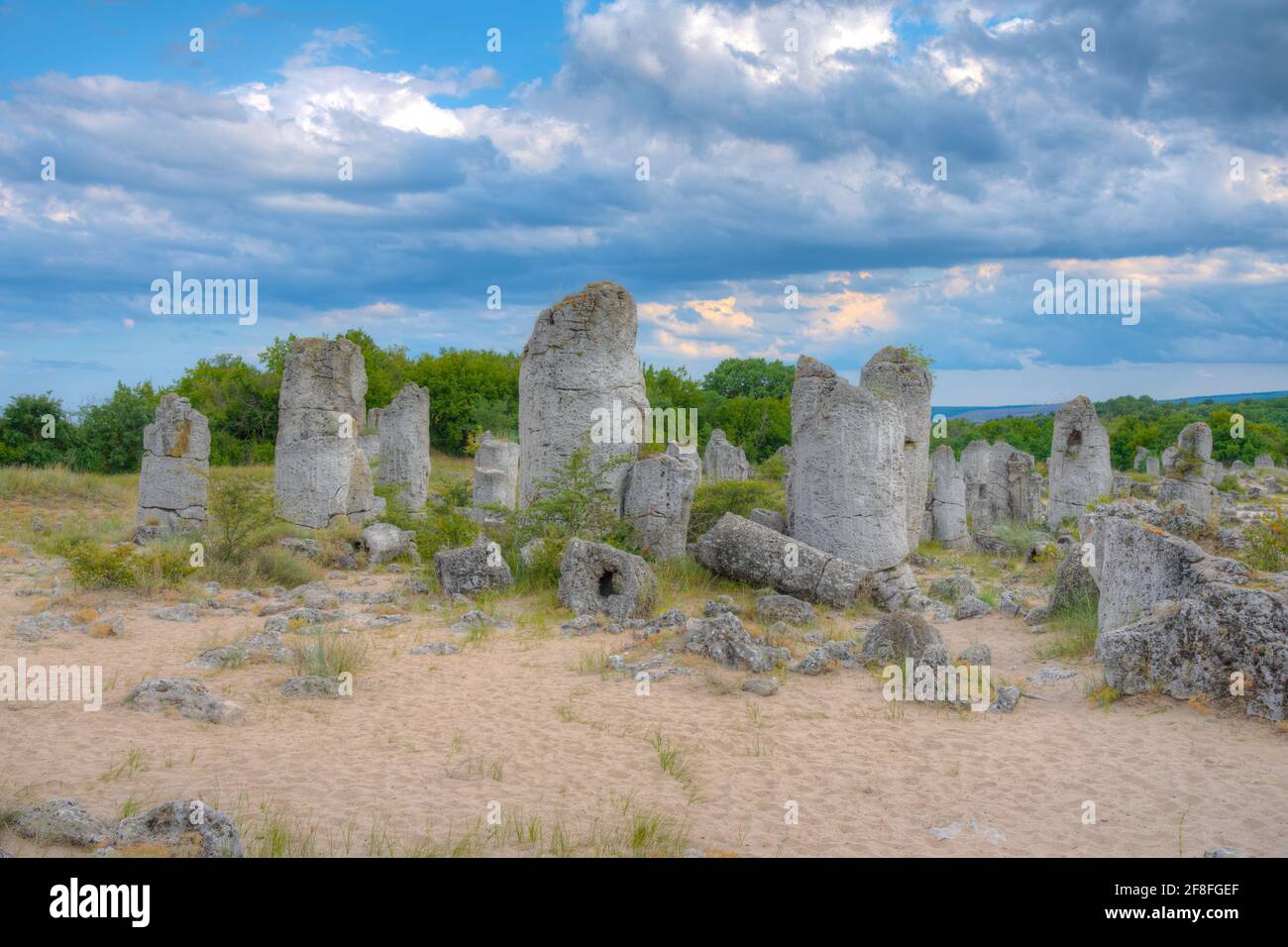 Petrified forest limestone rock formations hi-res stock photography and ...