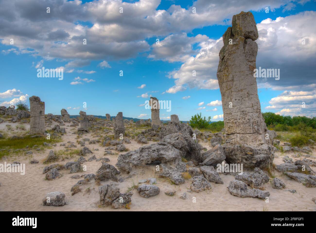 Petrified forest limestone rock formations hi-res stock photography and ...