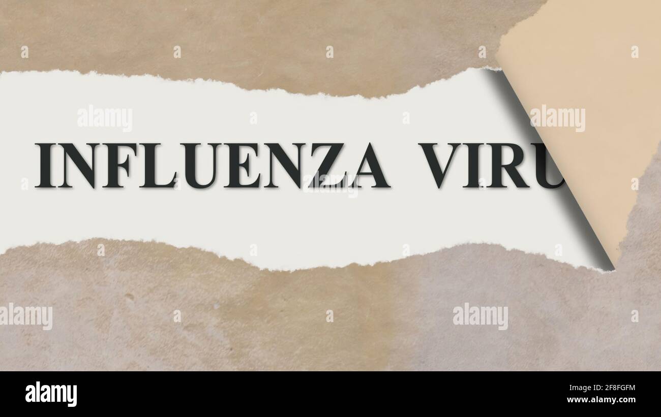 concept of torn paper with words influenza virus Stock Photo - Alamy