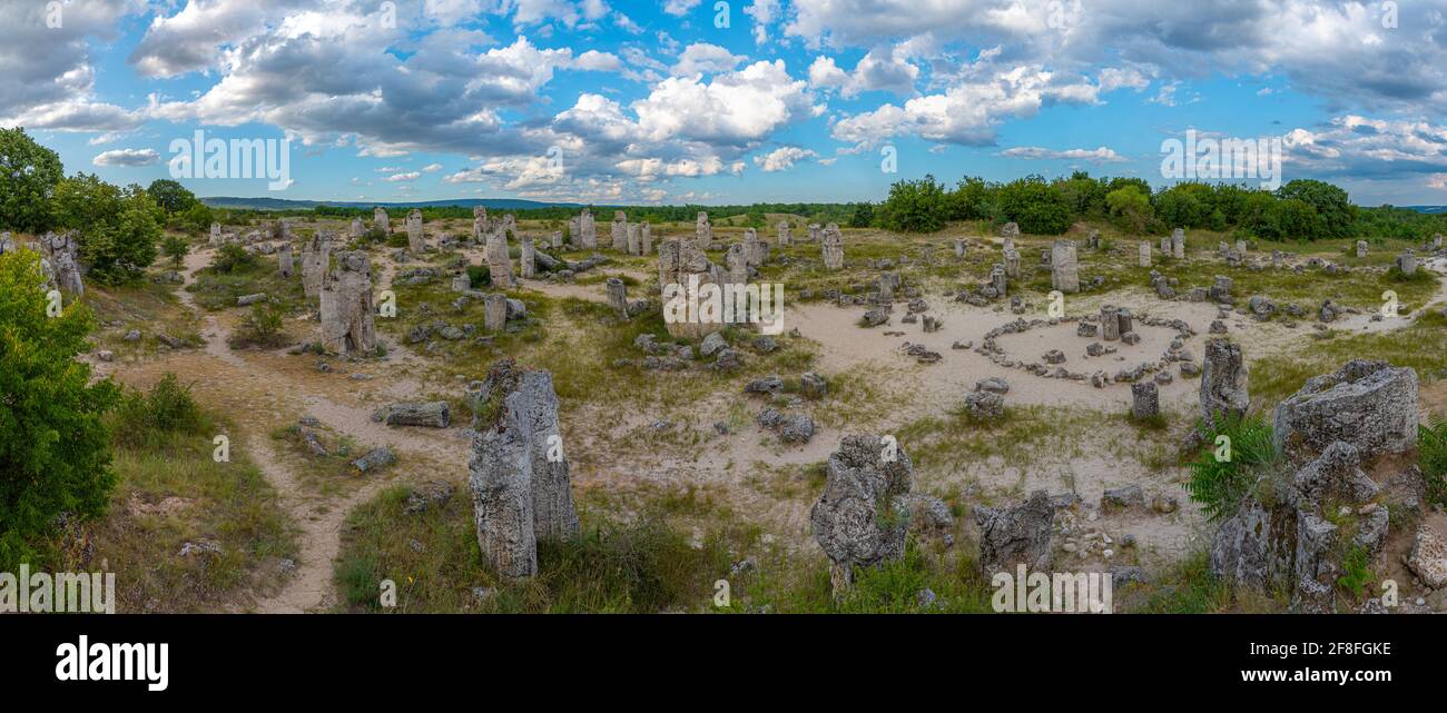 Petrified forest limestone rock formations hi-res stock photography and ...