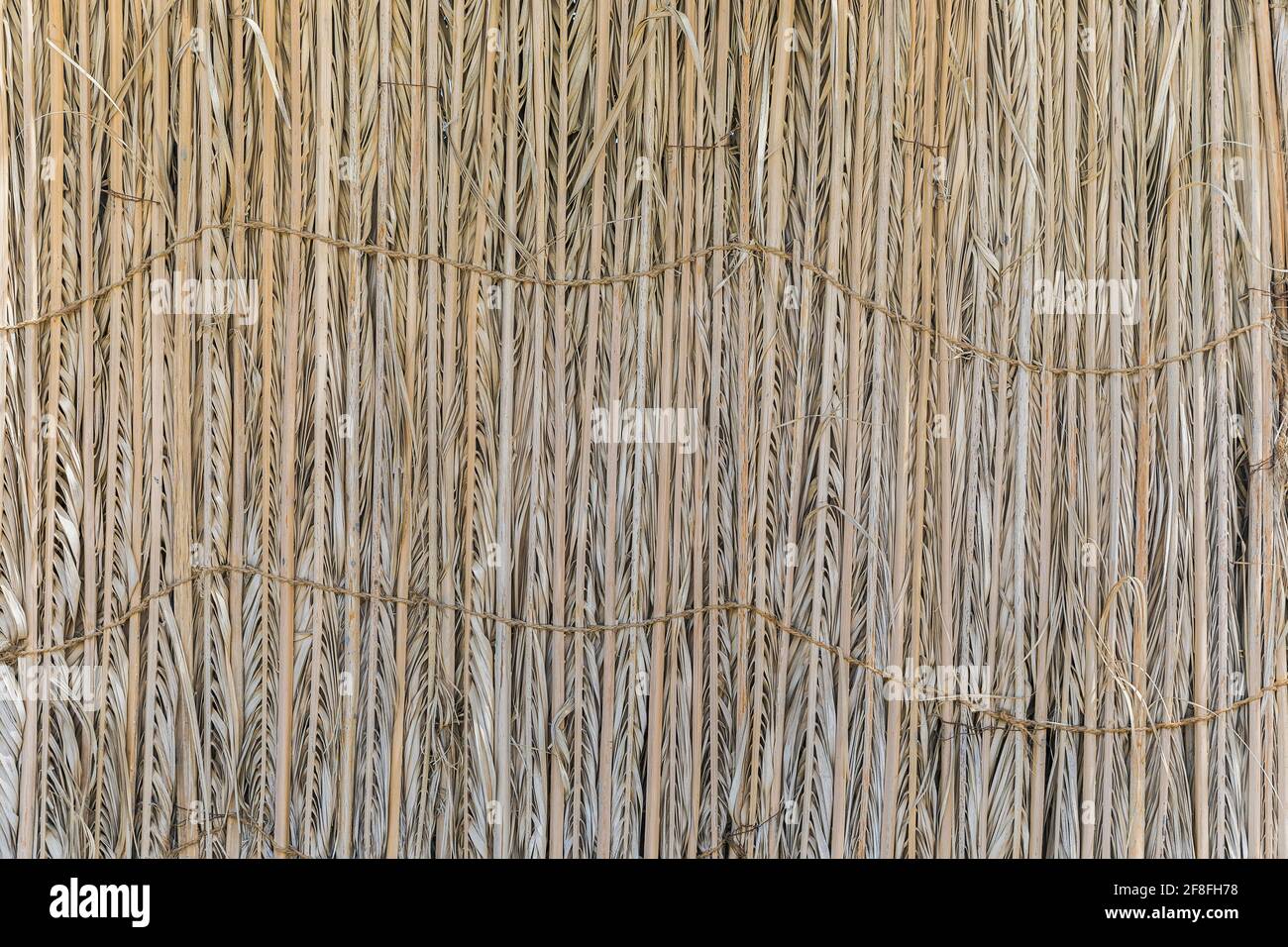 Thin reed fence texture Stock Photo - Alamy