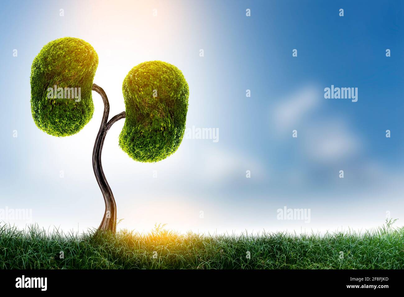 Trees (kidneys), 3D environmental and medical concepts Stock Photo - Alamy