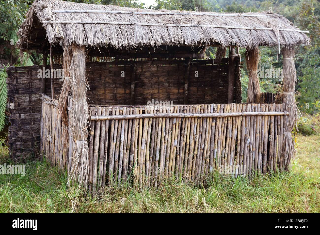 Thatched roof tropical grass hut hi-res stock photography and images ...