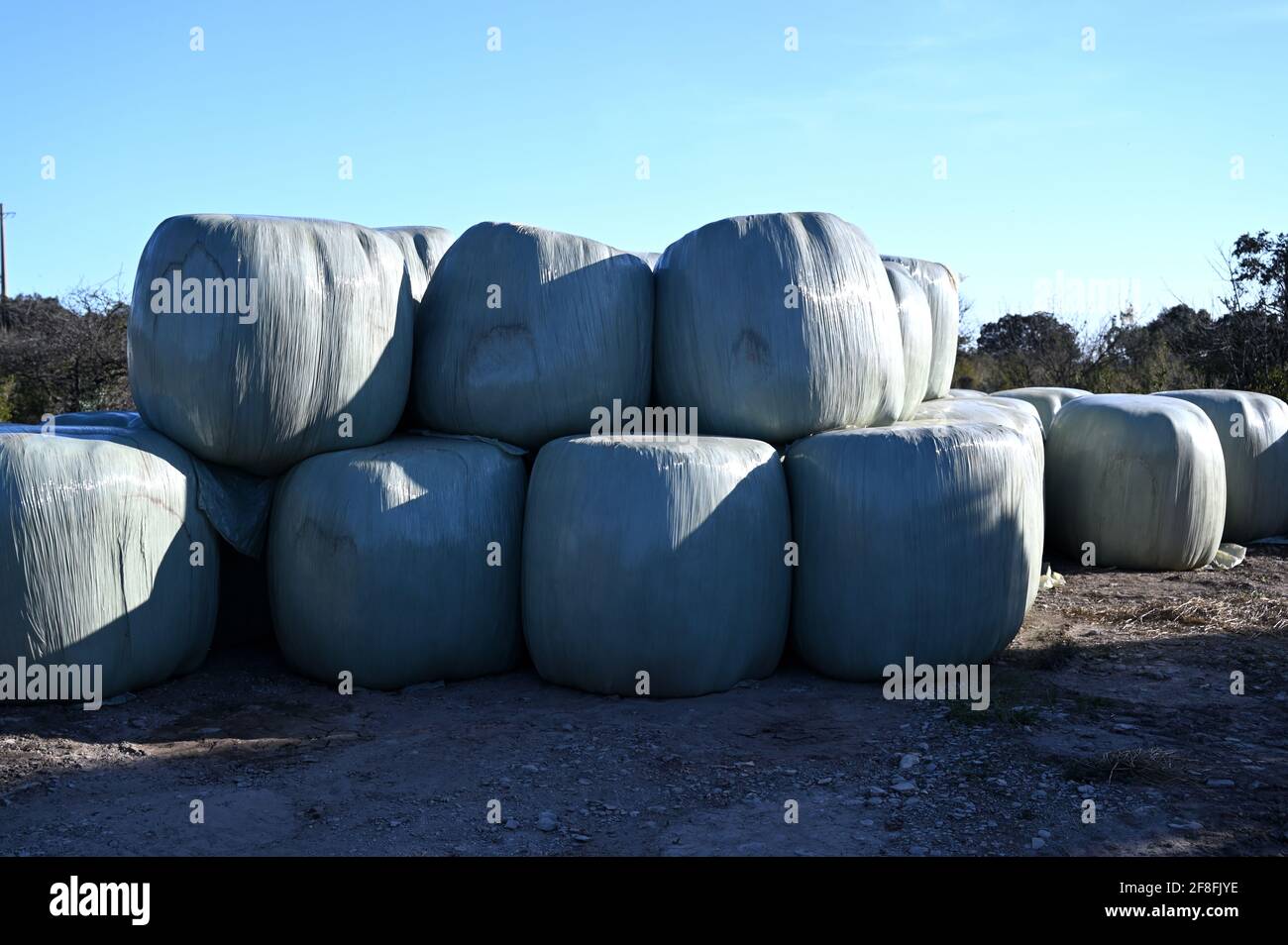 haystack rolls wrapped in plastic bags under a blue sky Stock Photo - Alamy