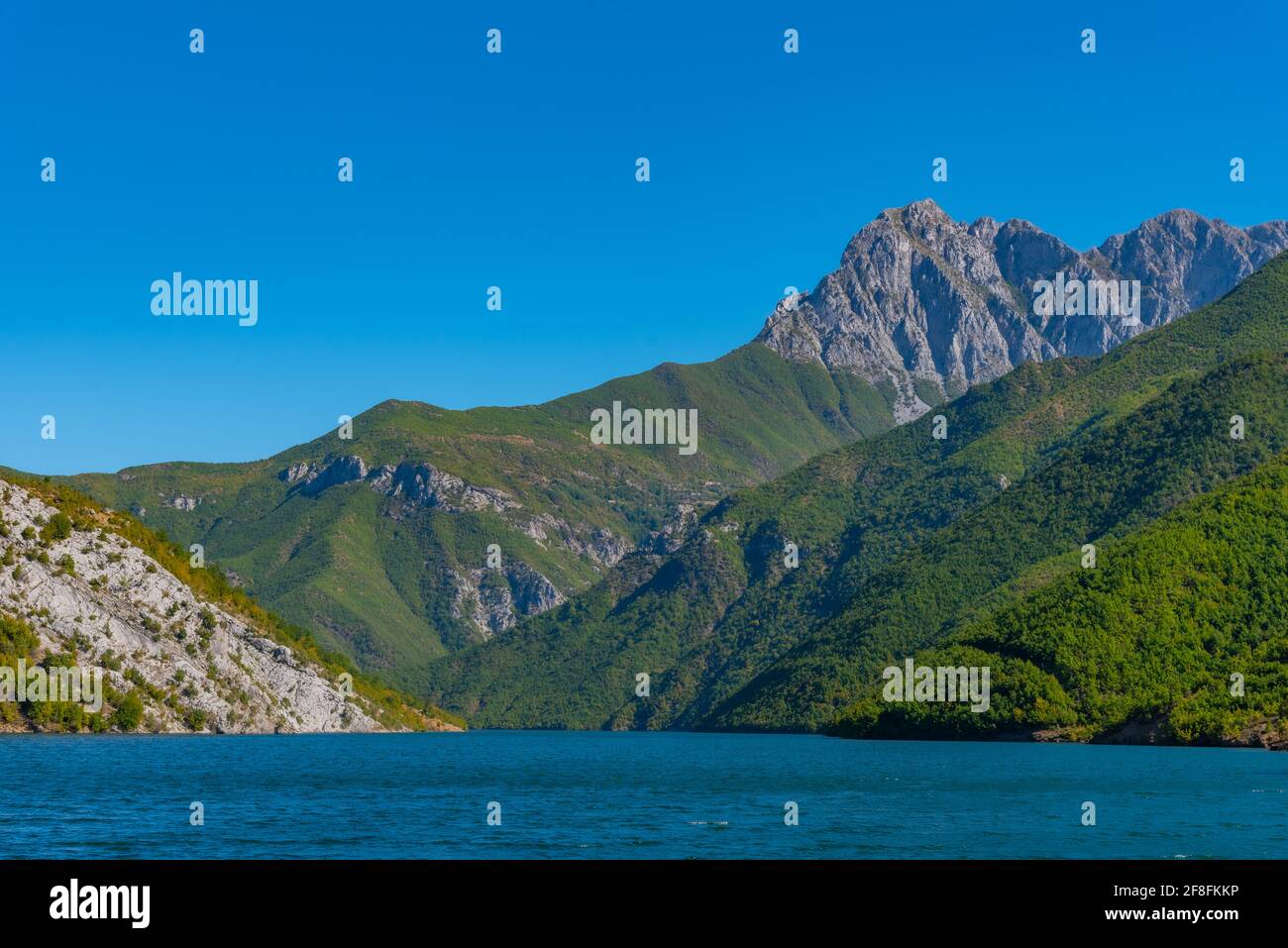Beautiful landscape of Koman lake in Albania Stock Photo - Alamy
