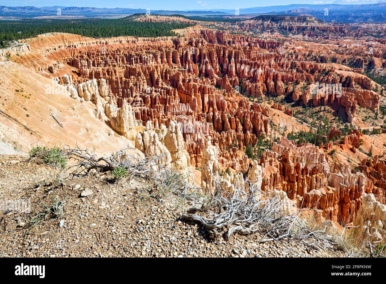 Inspiration Point Lookout in the Bryce Canyon National Park. Utah USA ...